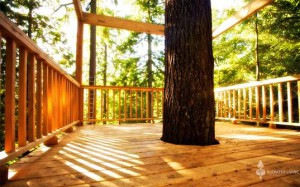 Elevated Living: Treehouses - Schutte Lumber co